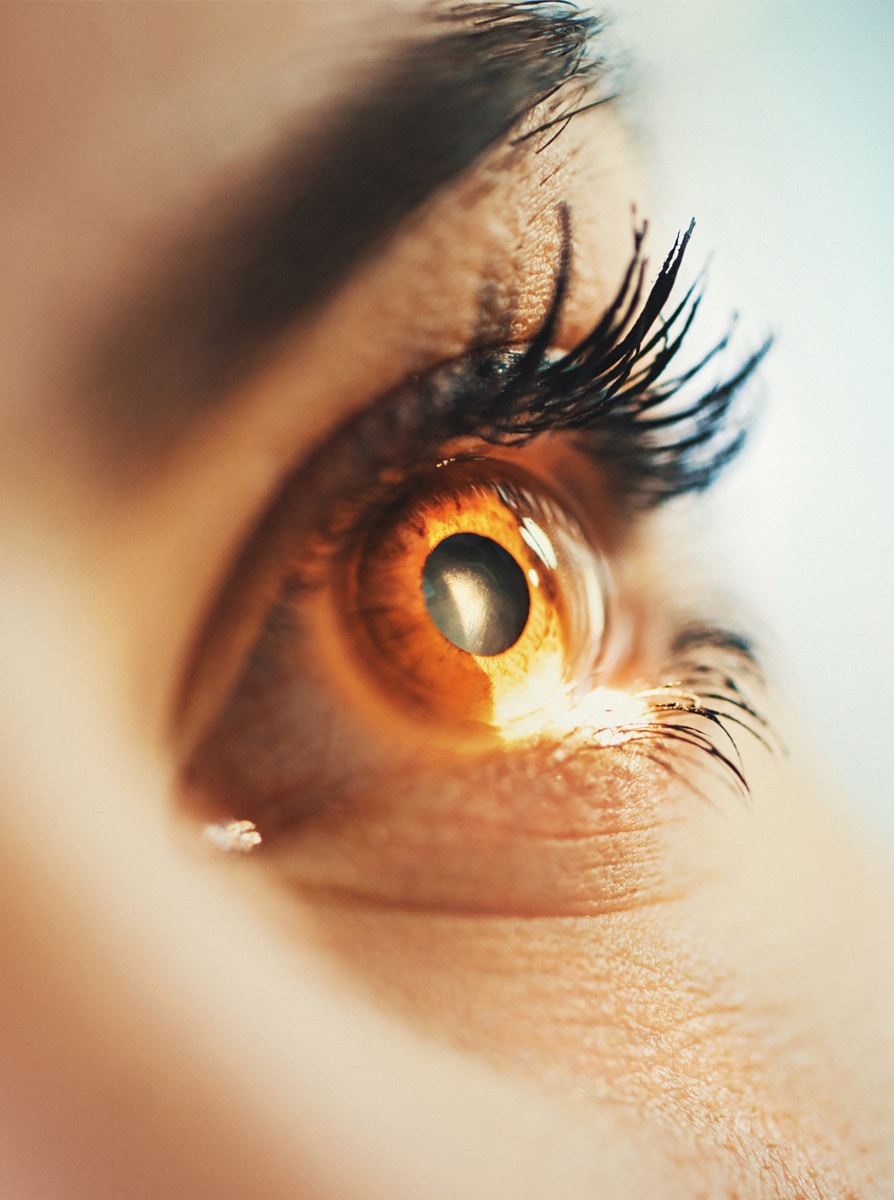 About NJRetina - NJRetina